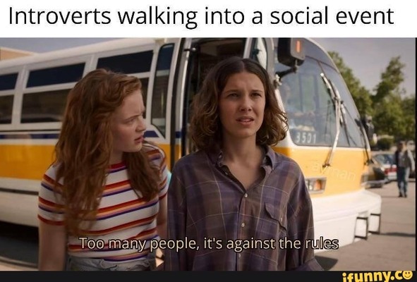 67 Funny Introvert Memes To Keep You Laughing (By Yourself) - Happier Human