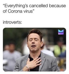 67 Funny Introvert Memes To Keep You Laughing (By Yourself) - Happier Human