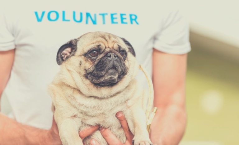 19 Life Purpose Examples to Find Your True Purpose - Happier Human