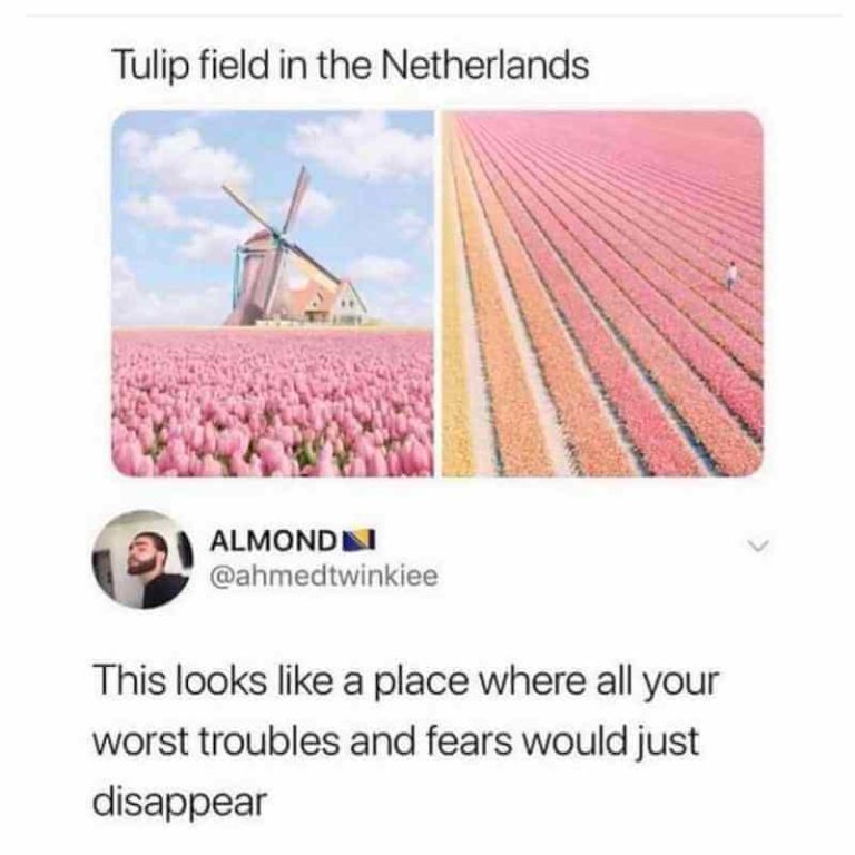 65 Happy Memes to Brighten Your Day in 2026 - Happier Human