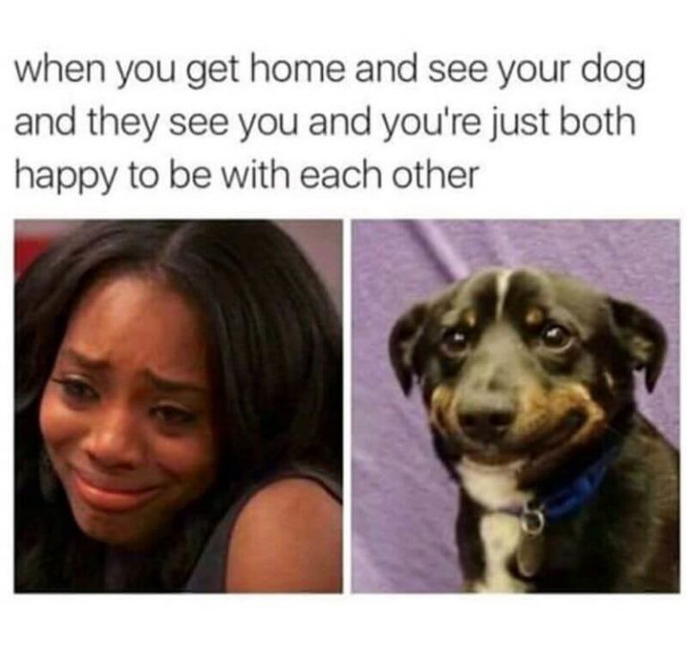 65 Happy Memes to Brighten Your Day in 2026 - Happier Human